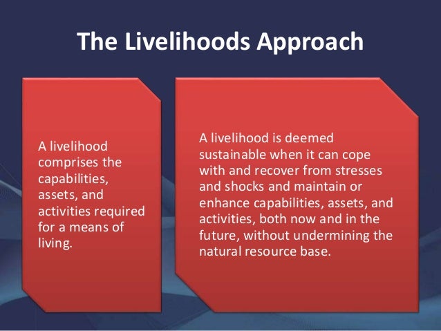 A Guide to the Livelihoods Framework