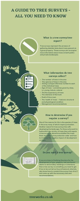 A Guide to Tree Surveys - All you Need to Know