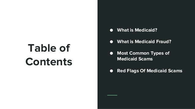 A Guide to Understand Medicaid Fraud & Scams | PPTX