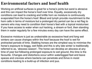 A Guide To Your Horse's Hoof Health | PPTX