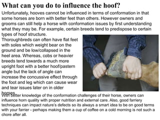 A Guide To Your Horse's Hoof Health | PPTX