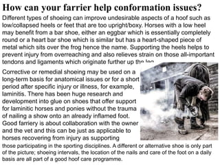 A Guide To Your Horse's Hoof Health | PPTX