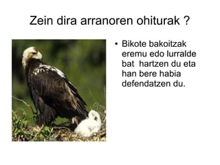 Arrano inperiala | ODP