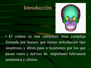 Embriología Del Foramen Ciego