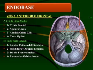 Embriología Del Foramen Ciego