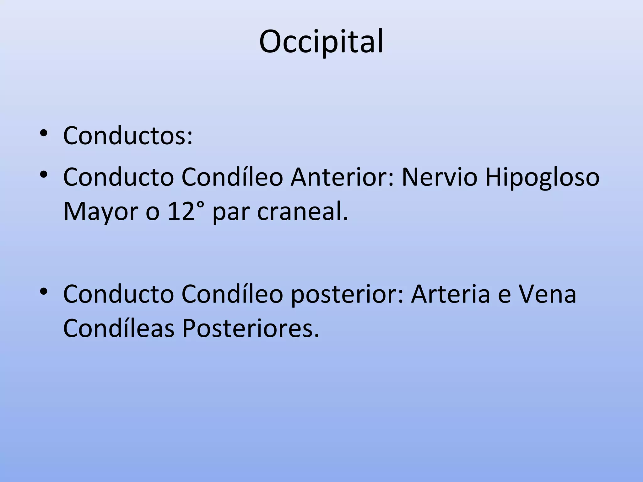 Agujeros, conductos, músculos, lig de | PPT