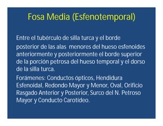 Agujeros de la base del cráneo.pdf