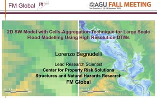 2D SW Model with Cells-Aggregation Technique for Large Scale Flood Modelling Using High ...