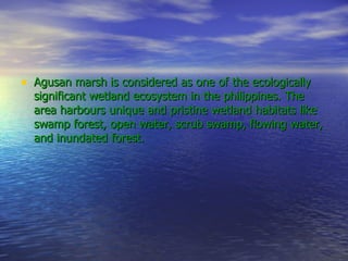 Agusan marsh .ppt