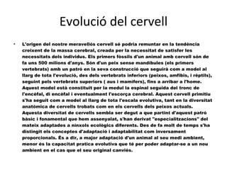 Agustin elena carbonero irene_cosmocaixa nat | PPT