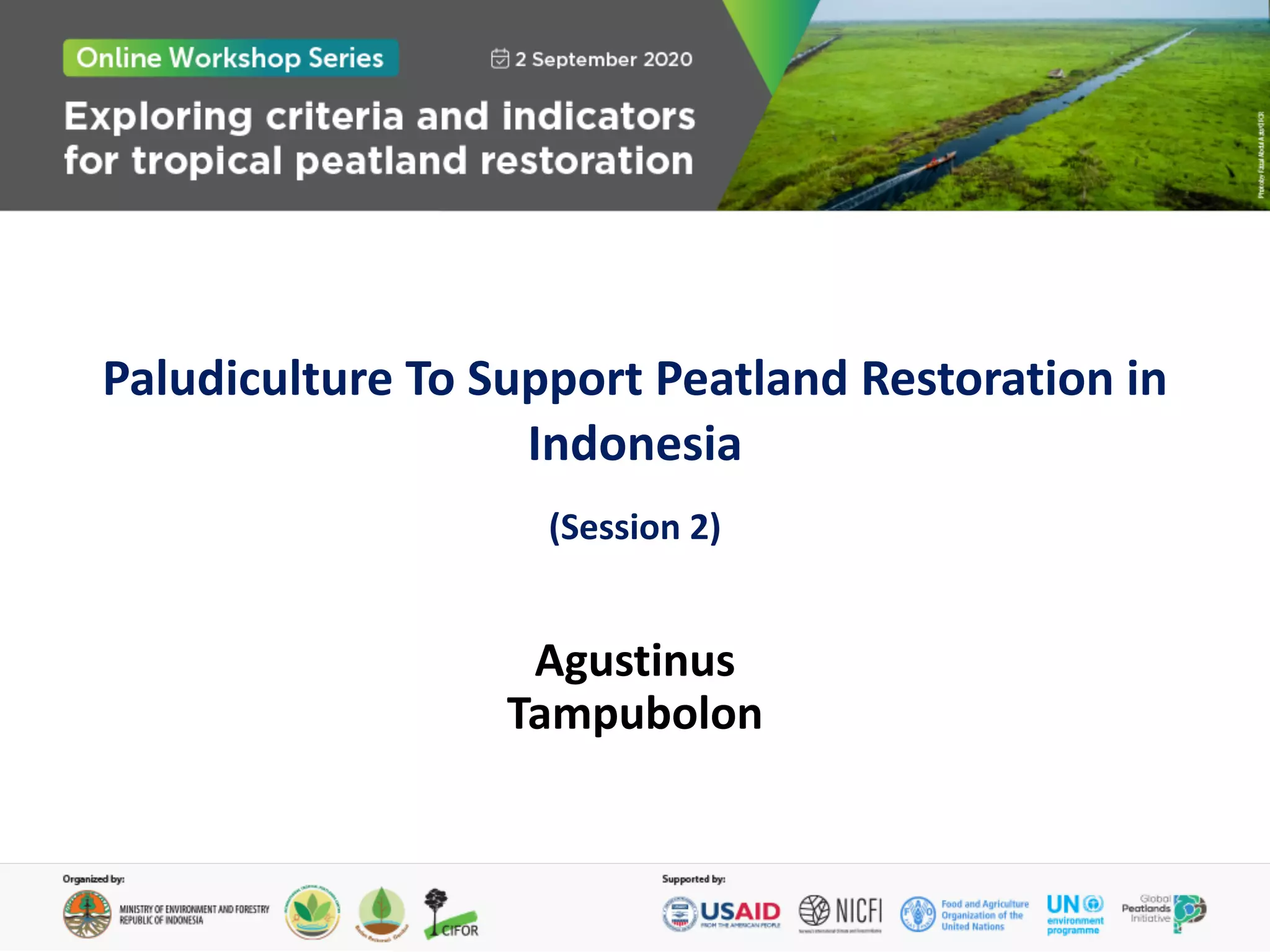 Paludiculture to support peatland restoration in Indonesia | PDF