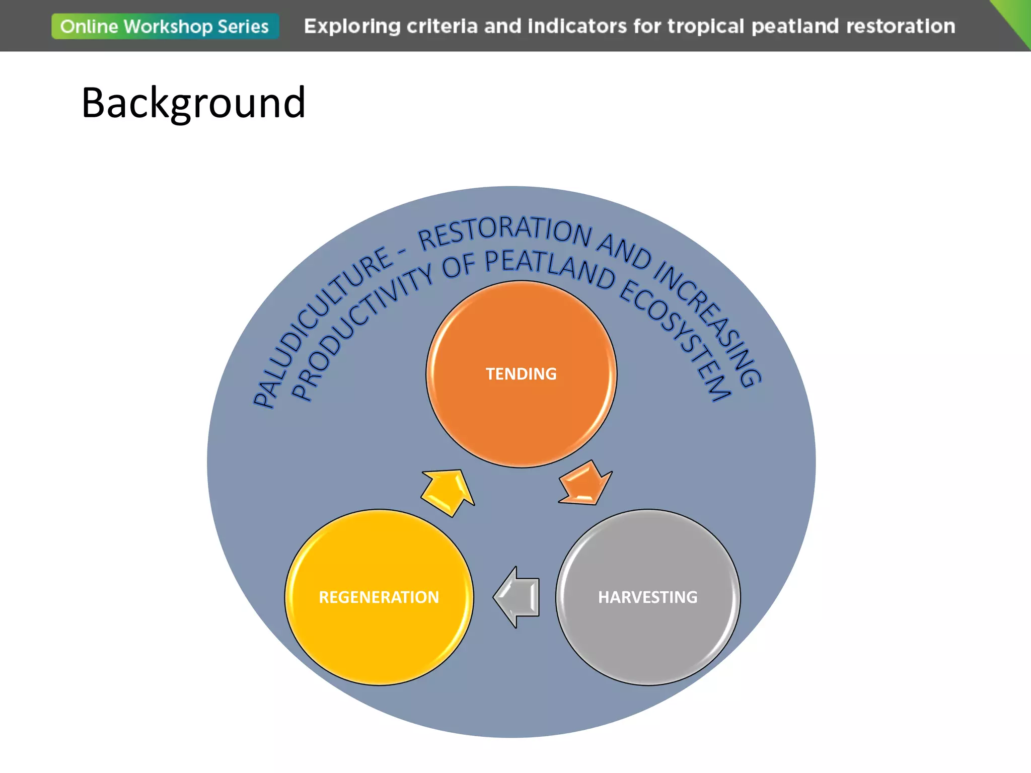 Paludiculture to support peatland restoration in Indonesia | PDF ...