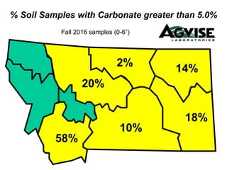 agvise-soil-test-summary-mt hidh-2016.ppt