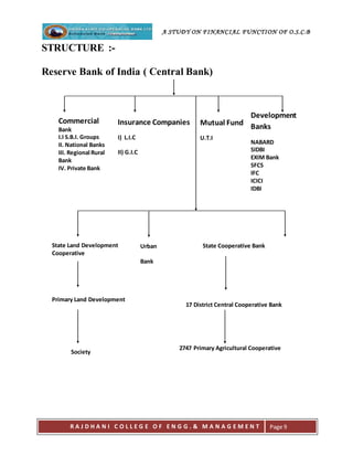 Project report of oscb 11 | DOCX
