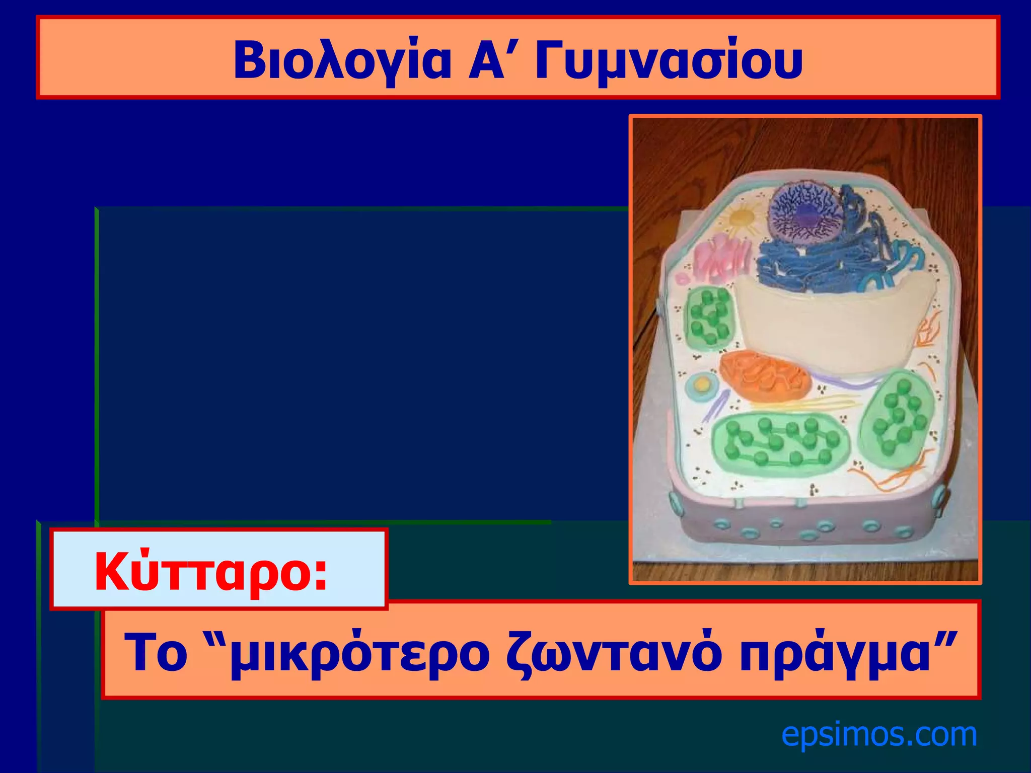 Το κύτταρο | PDF