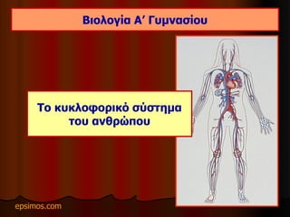 Κυκλοφορικο σύστημα | PDF