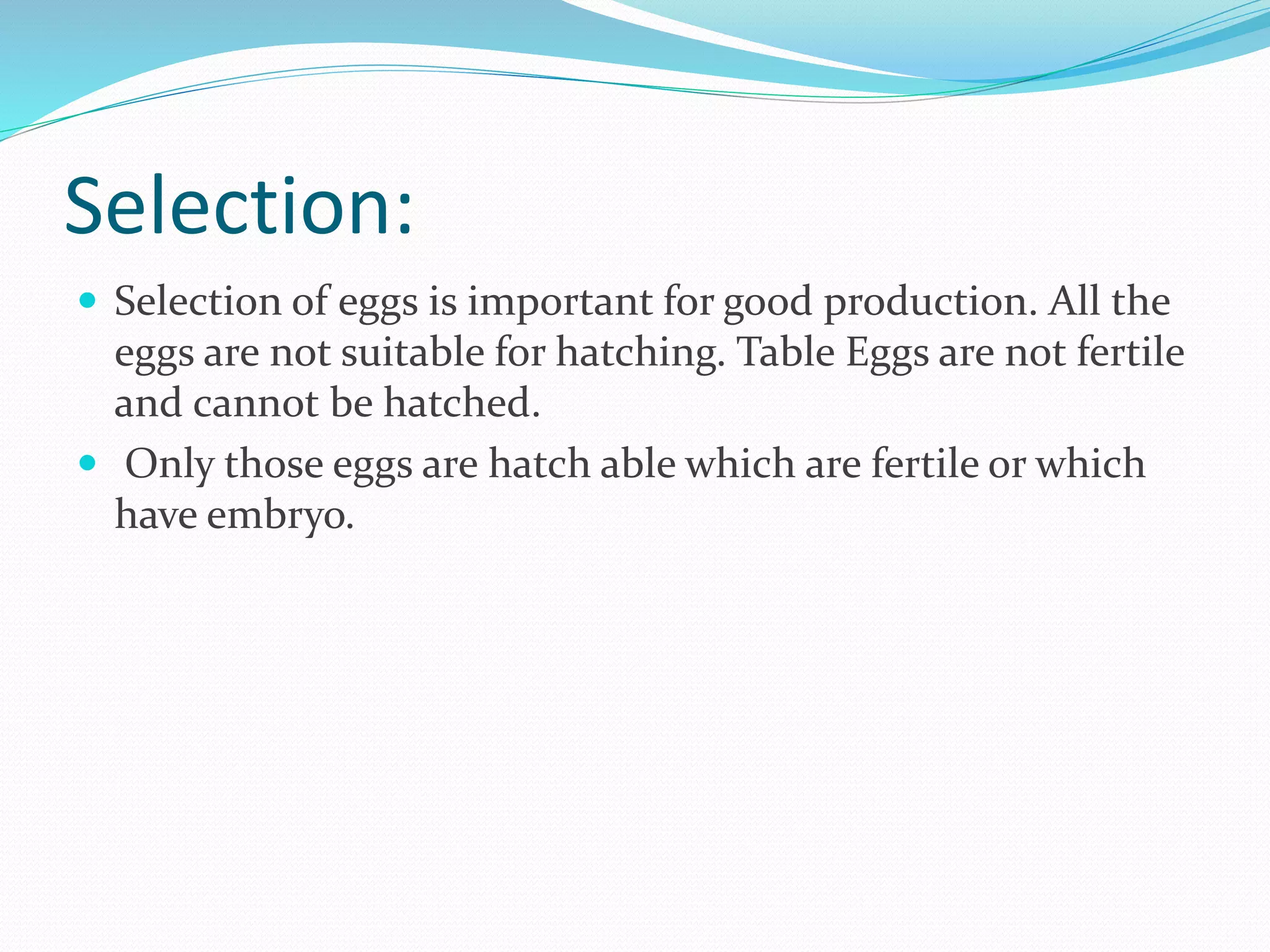 Selection, Care and hatching of chicken eggs | PPTX