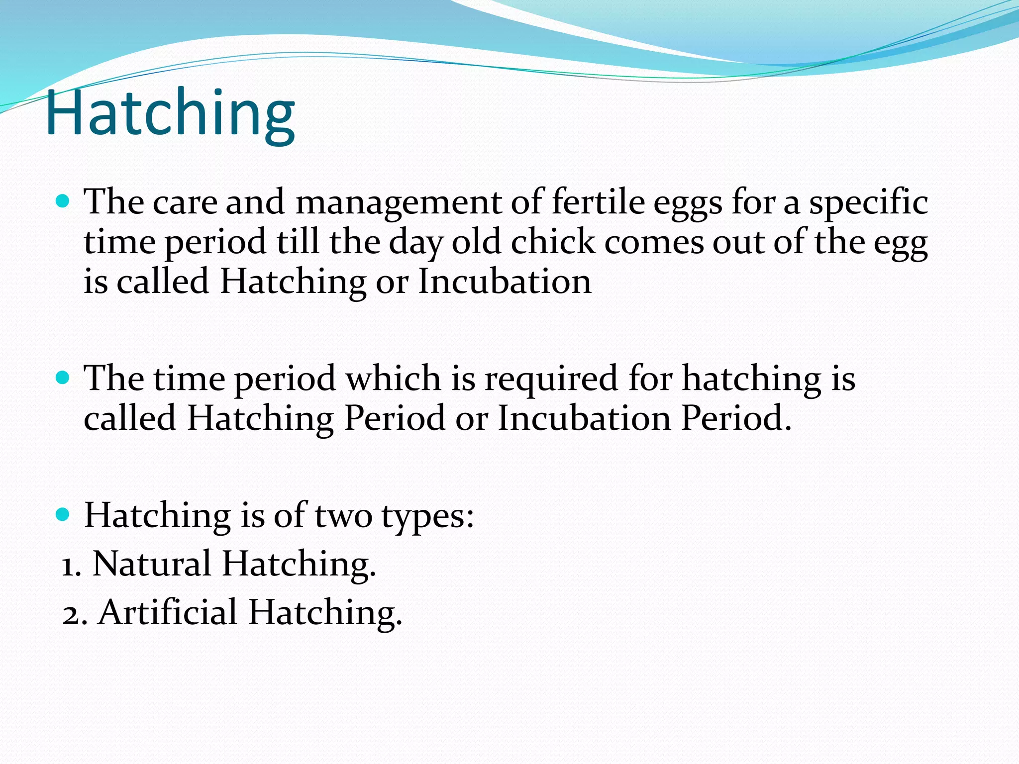 Selection, Care and hatching of chicken eggs | PPTX