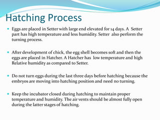 Selection, Care and hatching of chicken eggs | PPTX