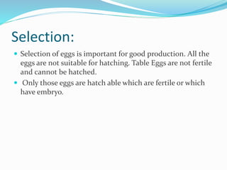 Selection, Care and hatching of chicken eggs | PPTX