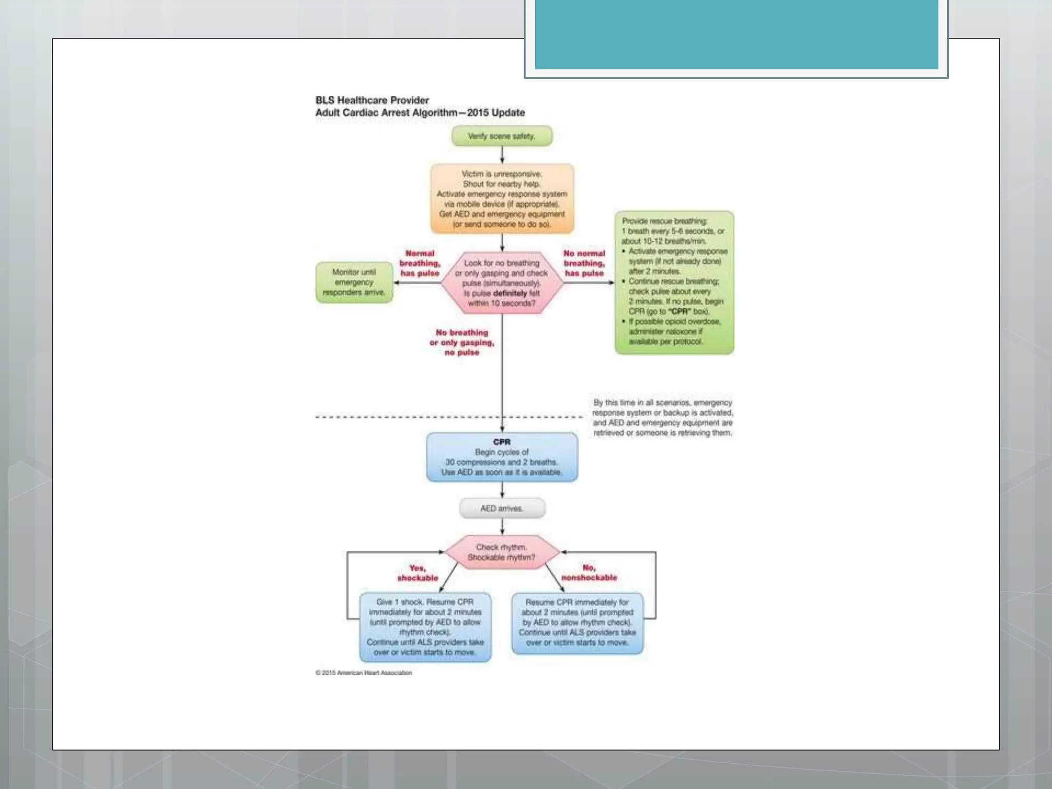 AHA BLS | PPTX
