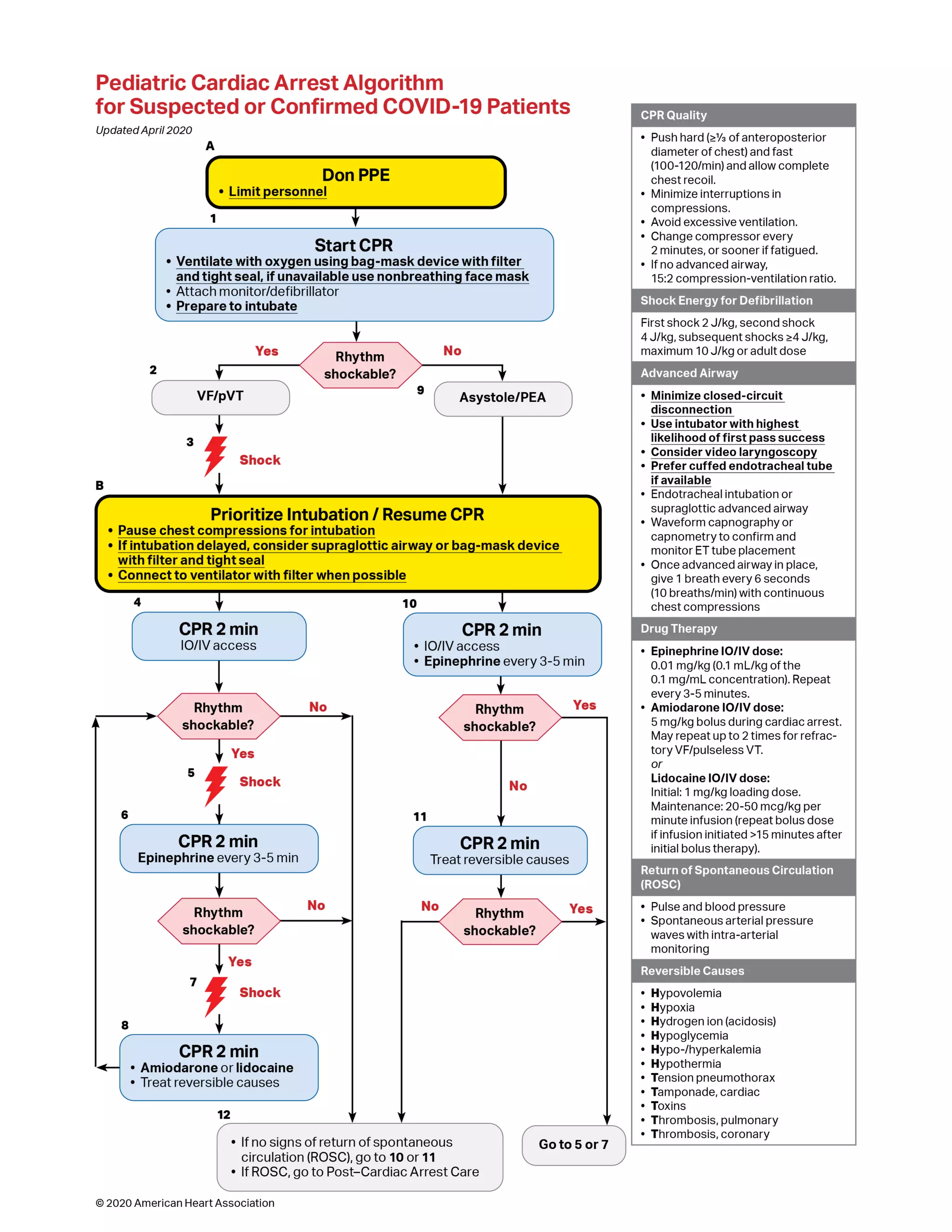 Algorithms AHA ACLS BLS Interim Guidelines for COVID | PDF
