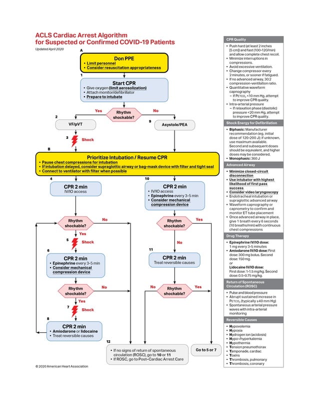 Algorithms AHA ACLS BLS Interim Guidelines for COVID | PDF
