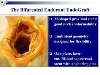 Aha endurant veith 2010 | PPT