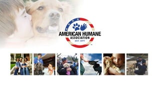 Be Humane – The Impact of the Humane Movement on Animals Today | PPTX ...