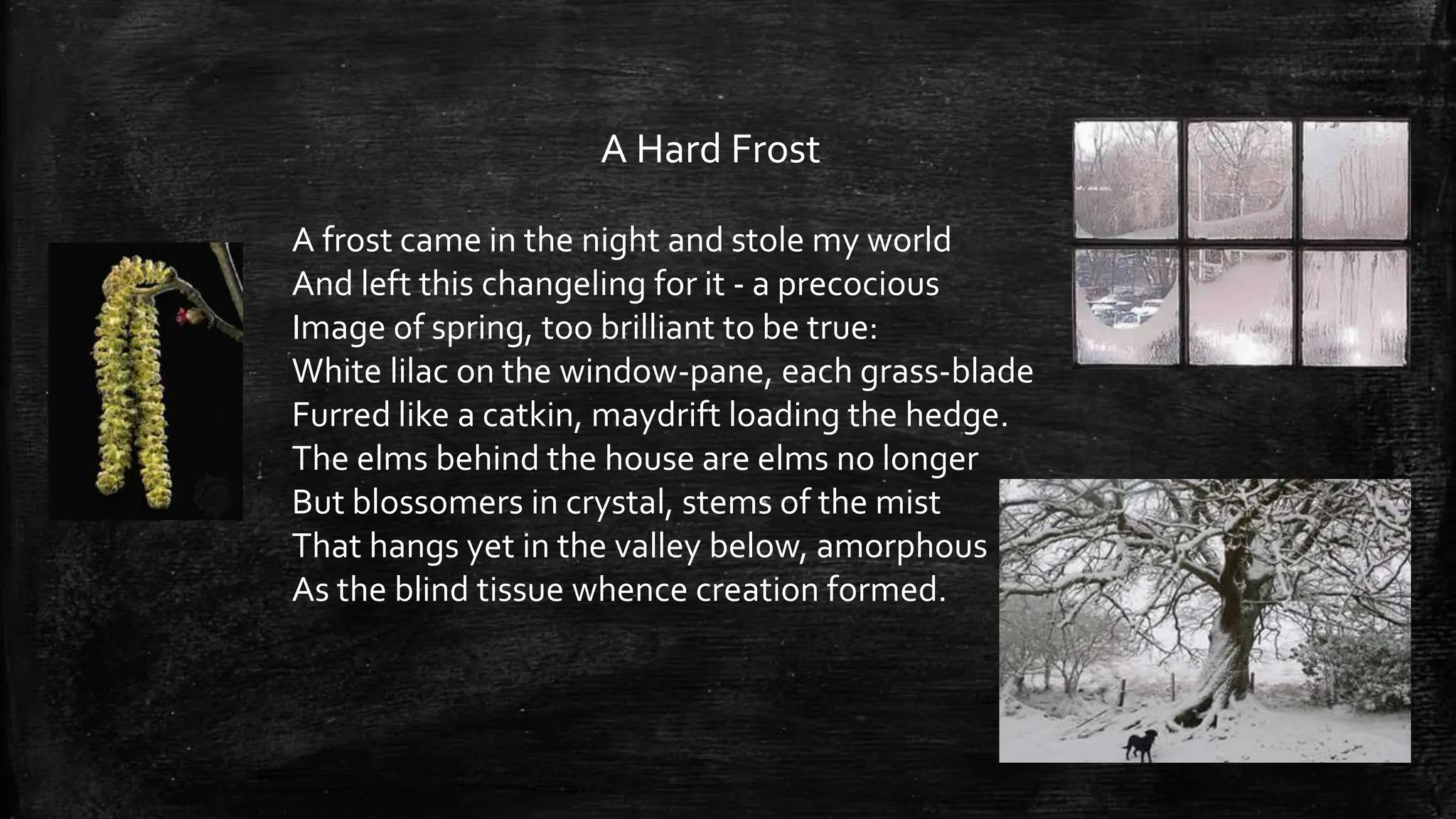 A Hard Frost - an analysis of the poem.pptx