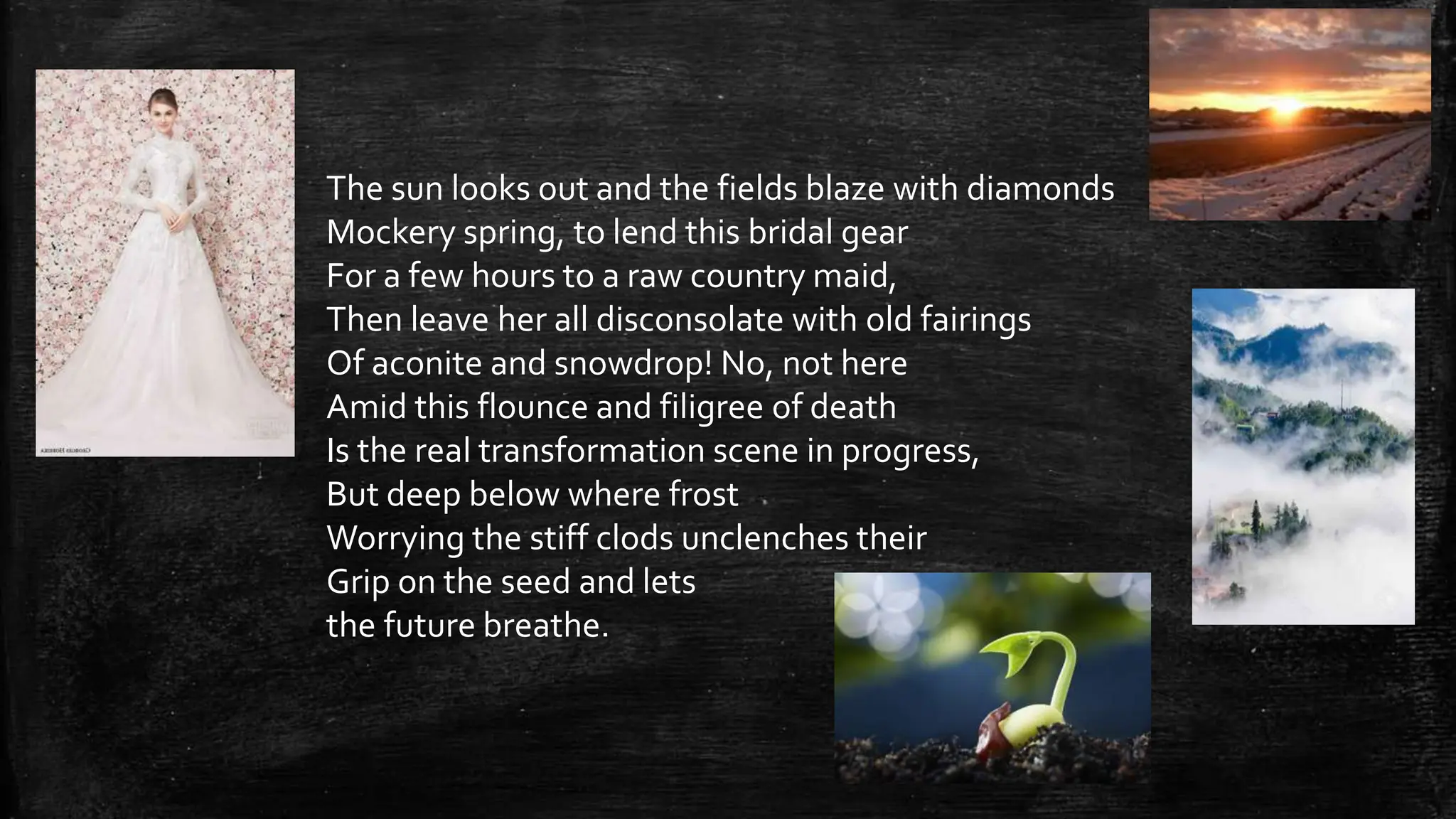 A Hard Frost - an analysis of the poem.pptx