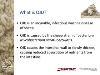 Aha what is ojd powerpoint_pres_final_jun12 | PDF