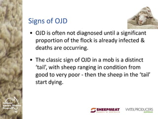 Aha what is ojd powerpoint_pres_final_jun12 | PDF