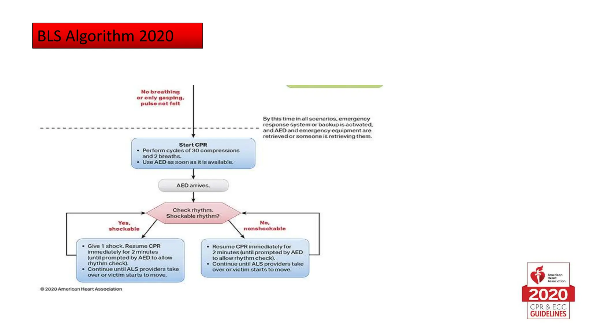 AHA latest guidelines for acls medical professional pptx | PPTX
