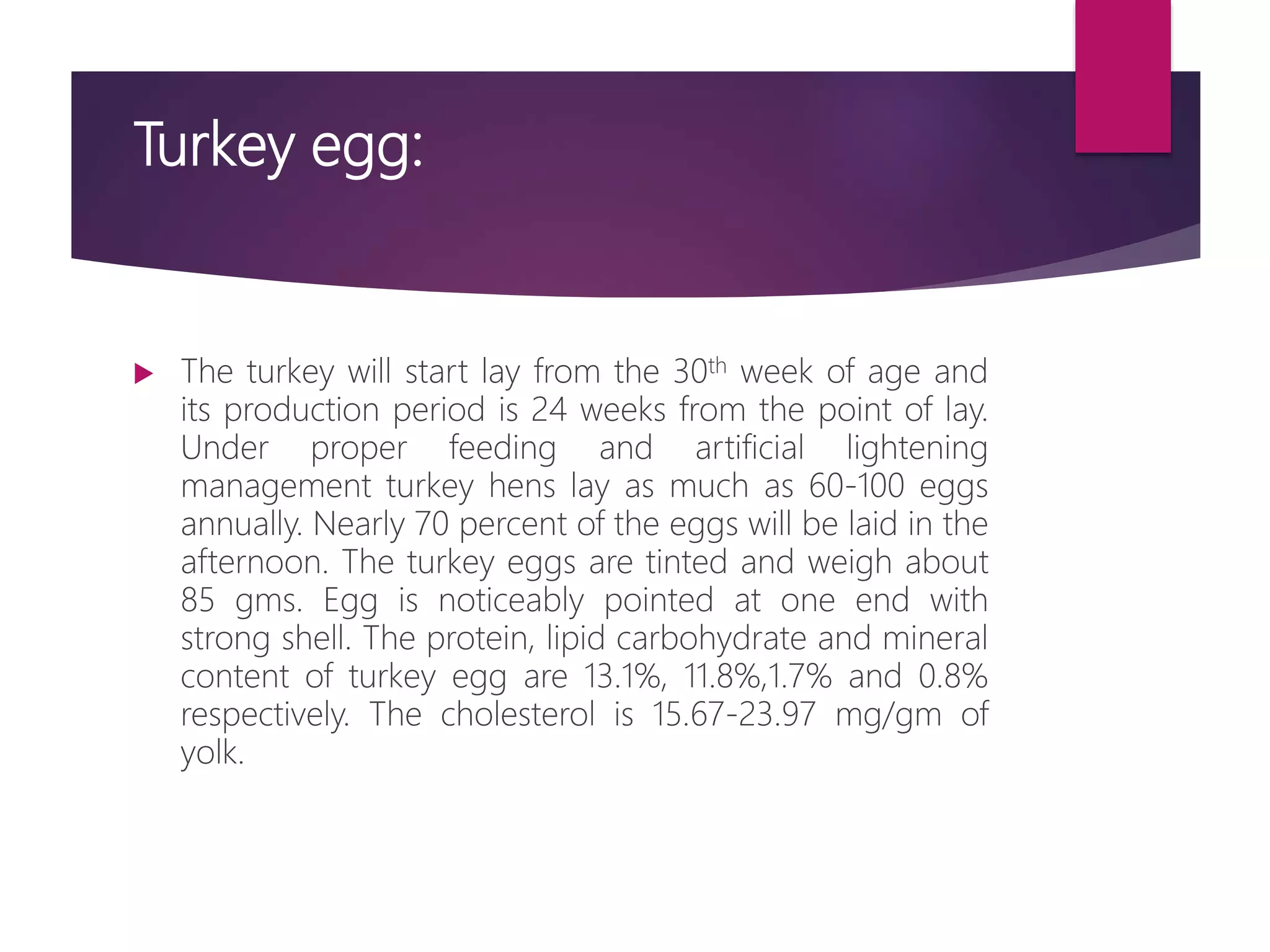 TURKEY PRODUCTION IN INDIA | PPTX
