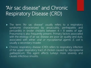 Health Management in Poultry | PPTX