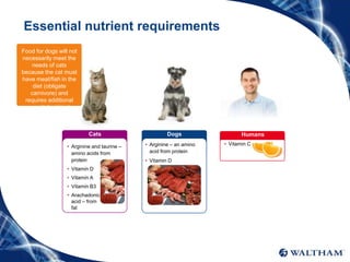 Cat and dog nutrition - what you really need to know | PPTX