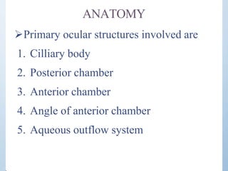 aqueous humor dynamicsmodified presentation | PPTX