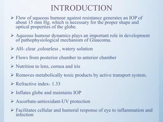 Aqueous Humour Dynamics | PPTX
