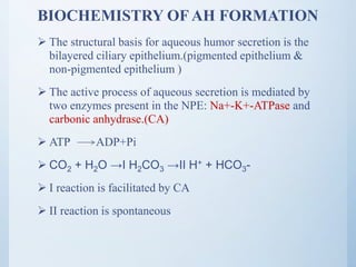 Aqueous Humour Dynamics | PPTX
