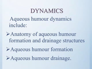 Aqueous Humour Dynamics | PPTX