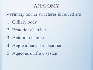 Aqueous Humour Dynamics | PPTX