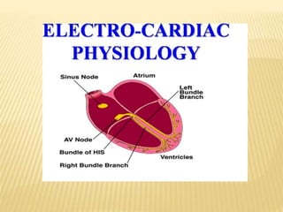 A) hemodynamics cardiotonics | PPT