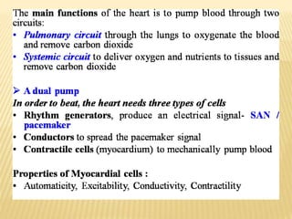 A) hemodynamics cardiotonics | PPT