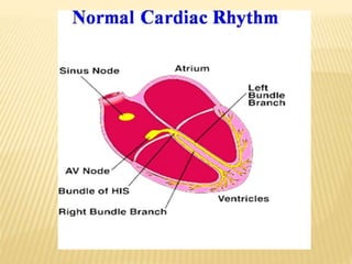 A) hemodynamics cardiotonics | PPT
