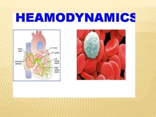A) hemodynamics cardiotonics | PPTX