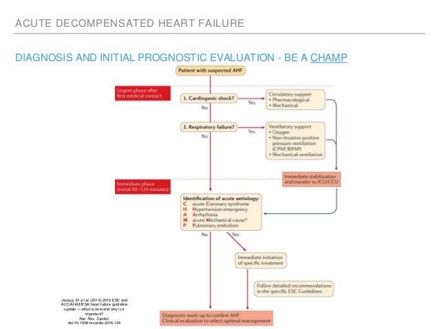 Acute Decompensated Heart Failure