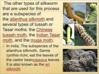 ahimsa silk aet 201.pptx