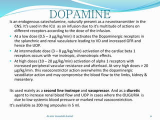 A hint about inotropes and vasopressors | PPT