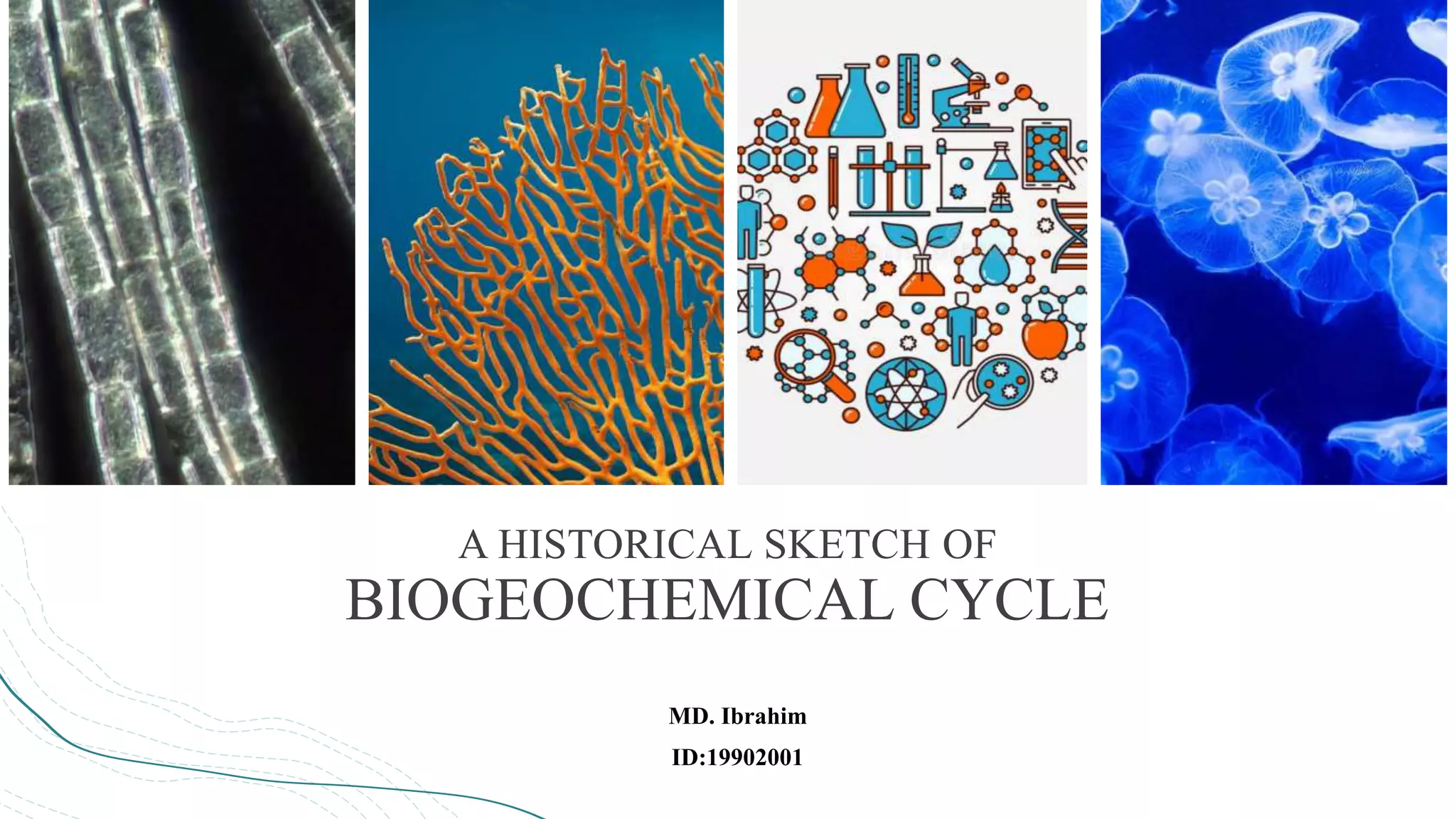 A historical Sketch of Biogeochemical Cycle | PPTX